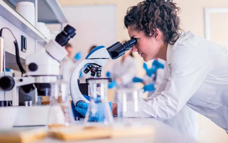 Third-Party Supplement Testing: Ensuring Safety, Purity & Accuracy ...